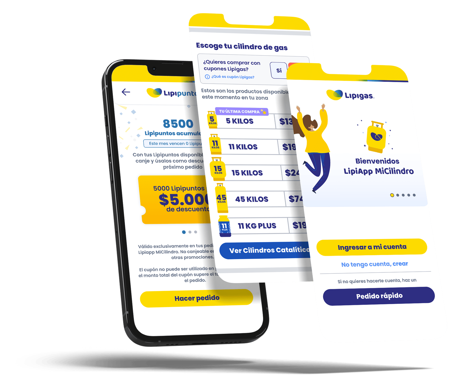 Guia de uso LipiApp 2023